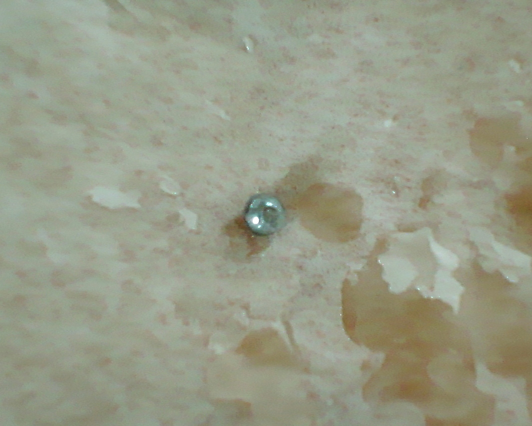 Ricin Pellet.2 – ERTI